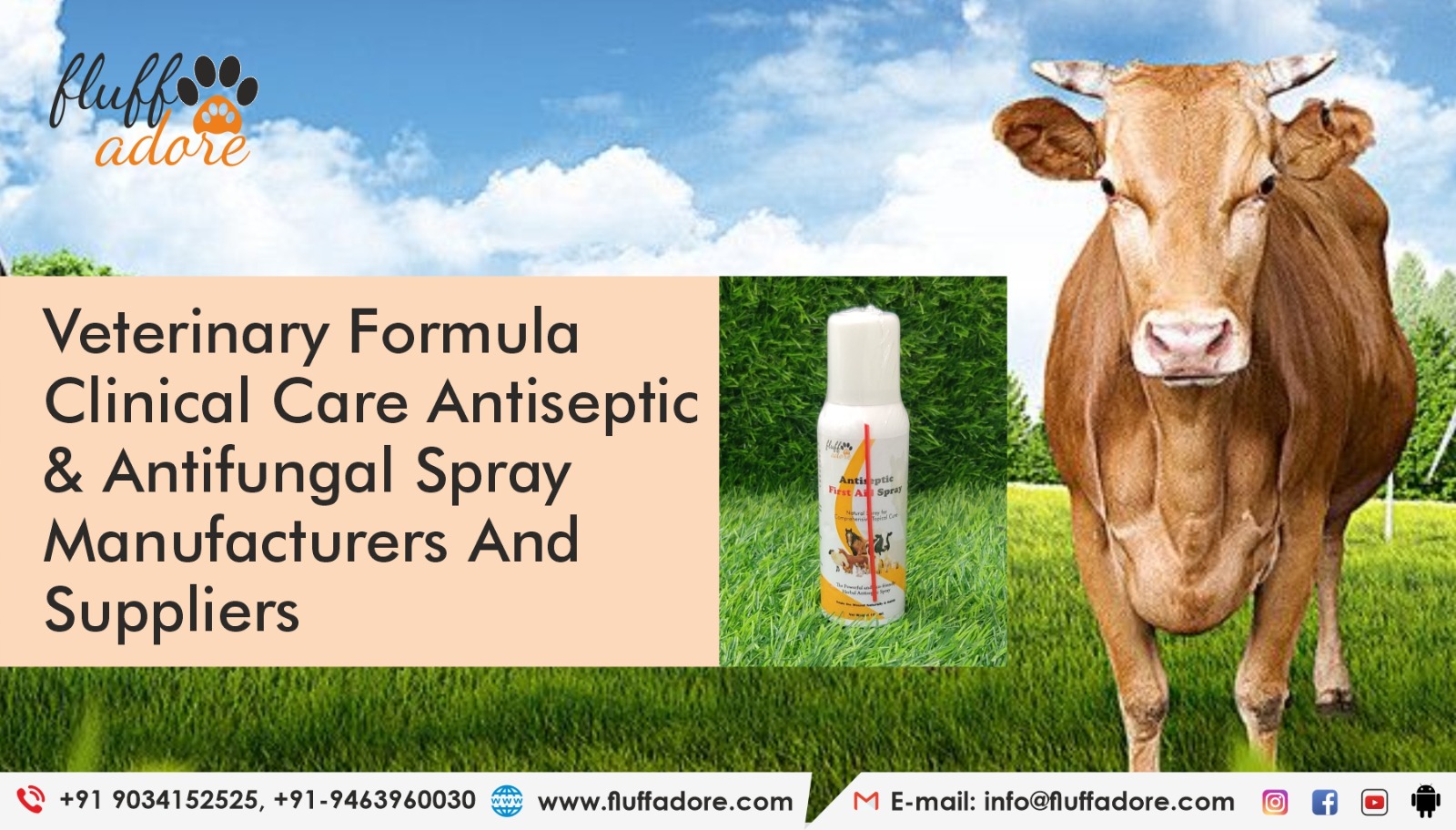 Veterinary Formula Clinical Care Antiseptic & Antifungal Spray ...