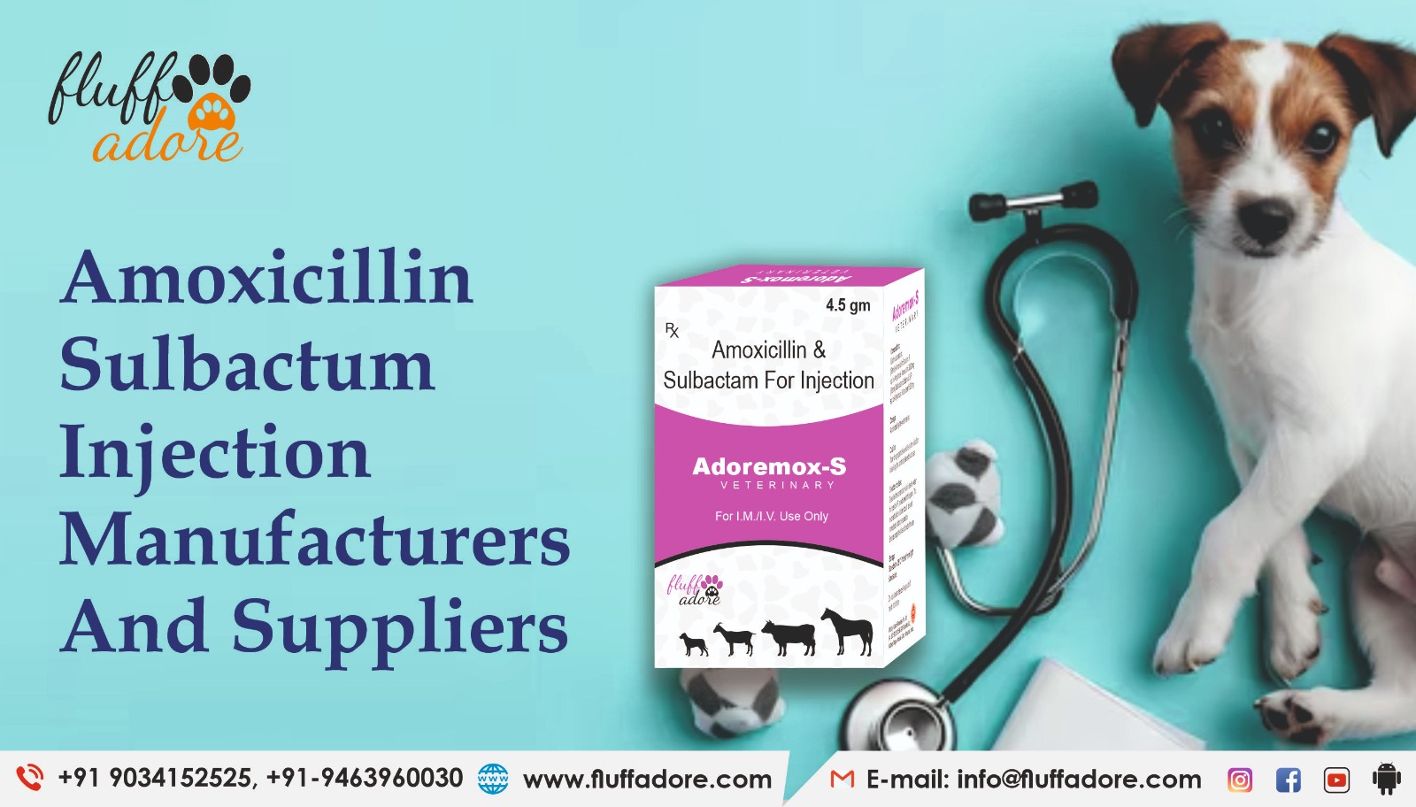 Amoxicillin Sulbactam Injection manufacturers and suppliers